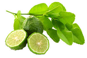 Huile essentielle de Combava : comment l'utiliser correctement