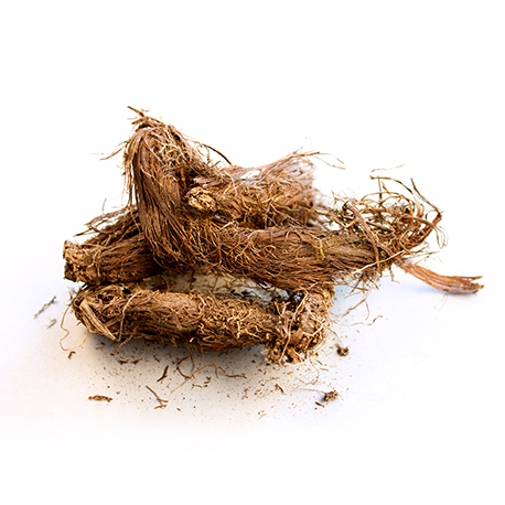 Huile essentielle de Nard de l'Himalaya : comment l'utiliser correctement